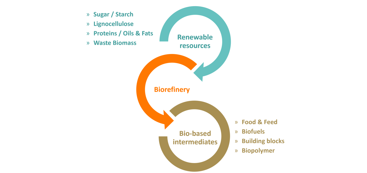 Bio-based raw materials, biogas and biorefineries - www.svp.de